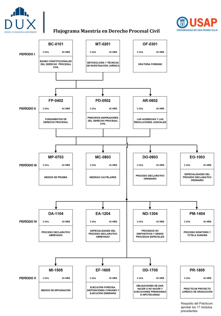 Maestría en Derecho Procesal Civil | USAP